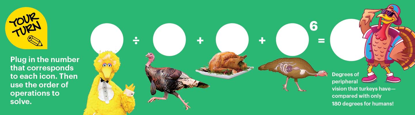 Let's Talk Turkey Algebra Article for Students | Scholastic Math Magazine