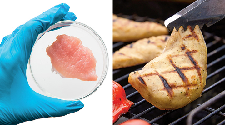 The Future of Meat?