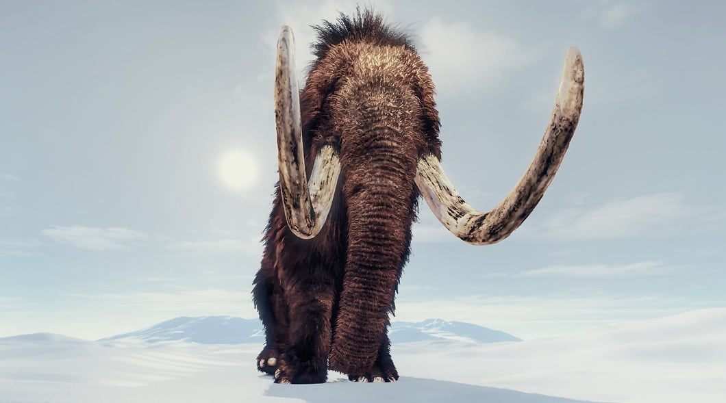 A Mammoth Undertaking