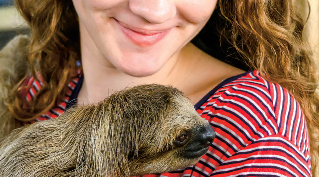 Should You Hug a Sloth?